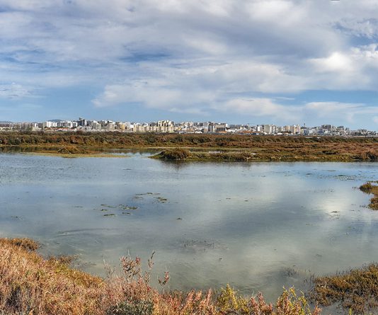 Walks - Visiting Faro
