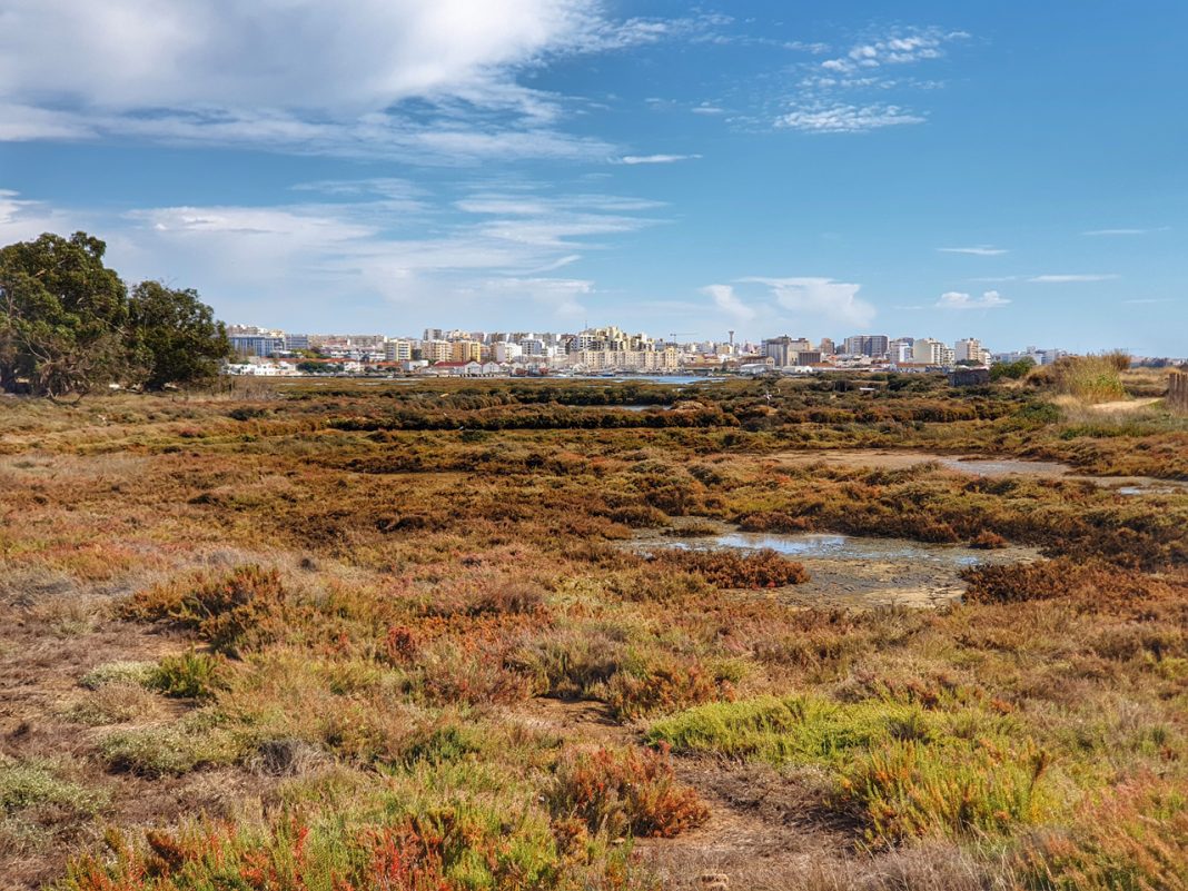 Hiking from Faro to the Beach - Visiting Faro