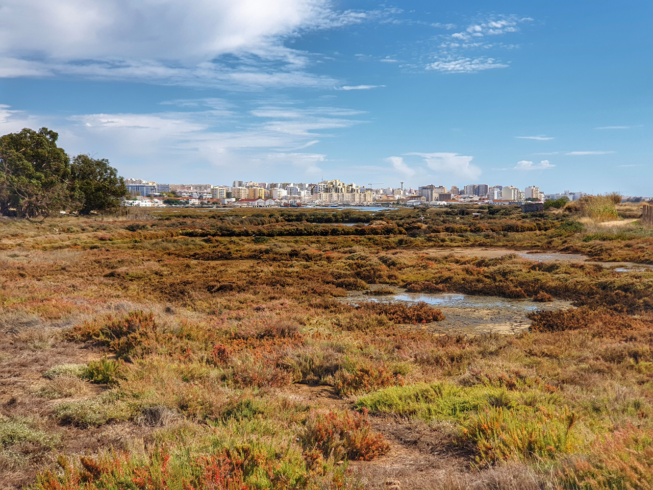 Hiking from Faro to the Beach | Visiting Faro