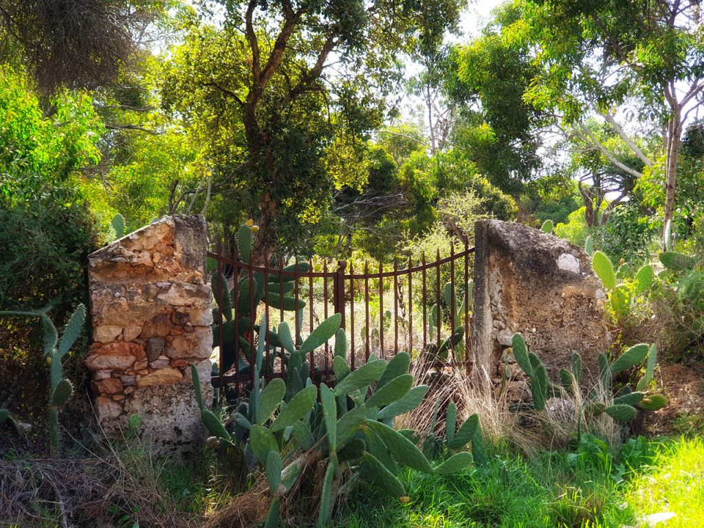 Hiking from Faro to the Beach - Visiting Faro