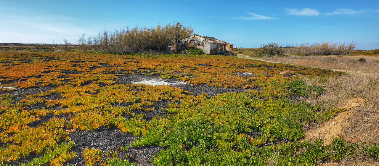 Hiking from Faro to the Beach - Visiting Faro